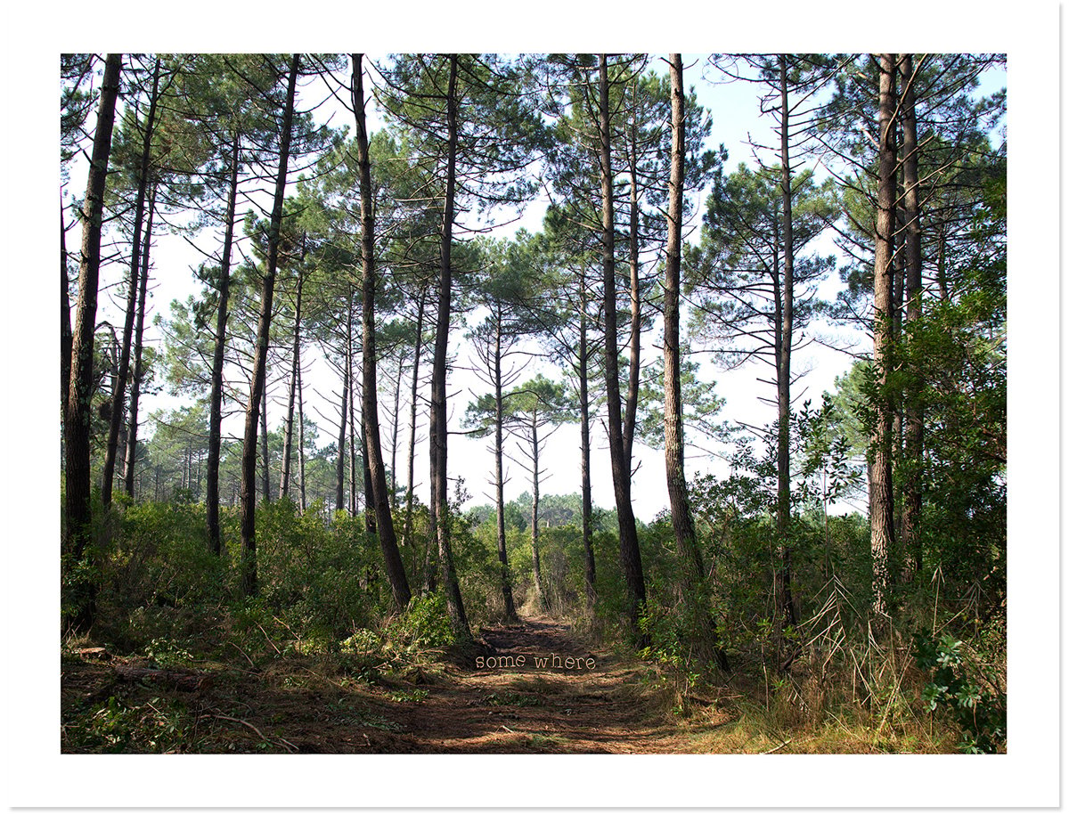 Somewhere in Cap Ferret (grand format)